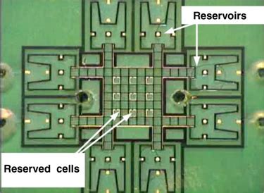 Fabricated Lab On Chip For DNA Sequencing Used To Demonstrate Parallel Download Scientific