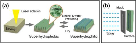 Schematic Diagram A Surface Modification And The Transformation Of Download Scientific