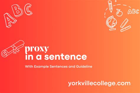 How To Use Proxy In A Sentence Easy Examples