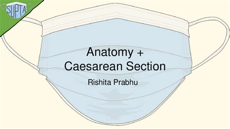 Obstetrics And Gynaecology Anatomy Of The Uterus Caesarean Section Content Medall