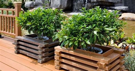 Полный Как сделать кашпо для цветов своими руками уличные для дома подвесные и др варианты