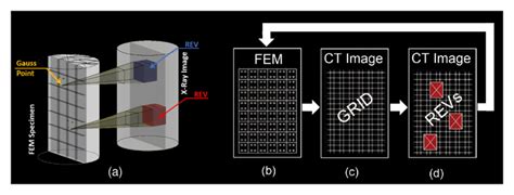 illustration of an rev based computed tomography to finite element download scientific diagram