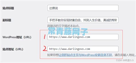 wordpress网站开启提示“将您重定向的次数过多”怎么解决？ csdn博客