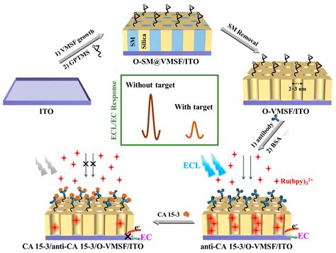Biosensors Free Full Text Dual Mode Sensing Platform For Cancer