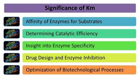 What Is Km In Enzyme Kinetics Easybiologyclass