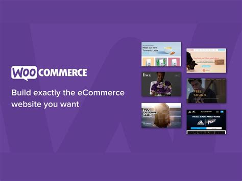 setup install wordpress theme plugin and demo import with