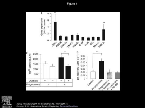 Volume 80 Issue 3 Pages August 2011 Ppt Download