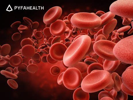Penyebab Kadar Sel Darah Merah Tinggi Penanganan Dan Pencegahannya