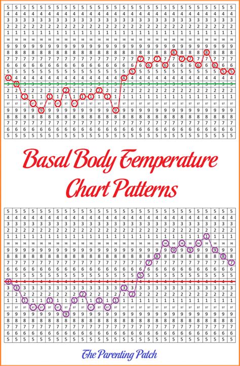 Basal Body Temperature Chart Patterns