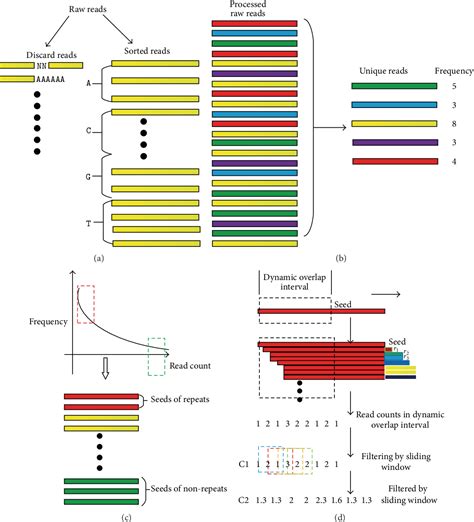 Figure 1 From A De Novo Genome Assembly Algorithm For Repeats And Nonrepeats Semantic Scholar