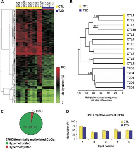Hierarchical Profile Based Clustering And Evaluation Of T2d Islet Dna