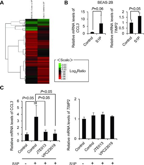 A Hierarchical Cluster Analysis Performed With Pearsons Correlation Download Scientific