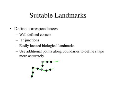 Ppt Statistical Shape Models Powerpoint Presentation Free Download Id9327395