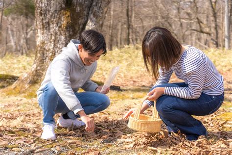 夏祭り 山梨県八ヶ岳のグランピングならbub Resort八ケ岳
