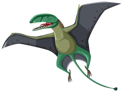 Free Vector A Dinosaur Dimorphodon On White Background