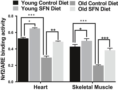 Sulforaphane Sfn Supplemented Diet Improves Nrf2 Activity Sfn Download Scientific Diagram