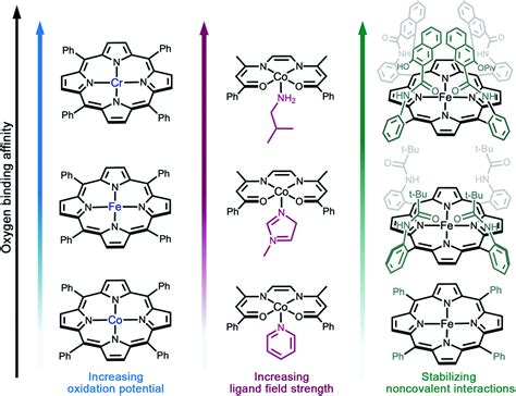 Coordination Compounds Oxygen Binding Affinity Of Complexes