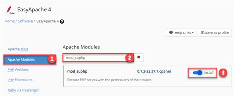 how to solve cpanel temporary url not working error eukhost