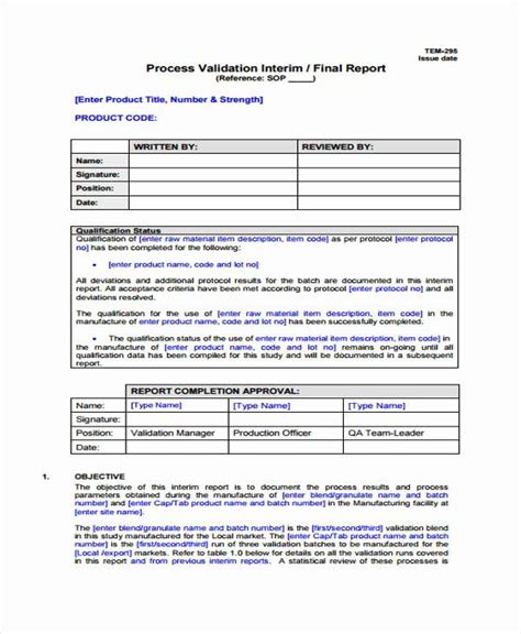 Process Validation Report Format