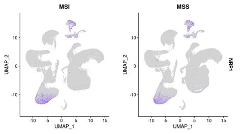 r ignoring color palette in scale color distiller stack overflow