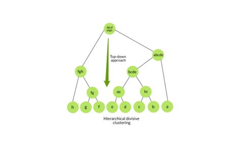 Hierarchical Clustering Là Gì Ứng Dụng Của Phân Cụm Phân Cấp