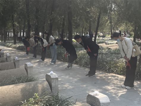近日，白土镇、王寨镇、永堌镇做了这些工作~萧县人民政府