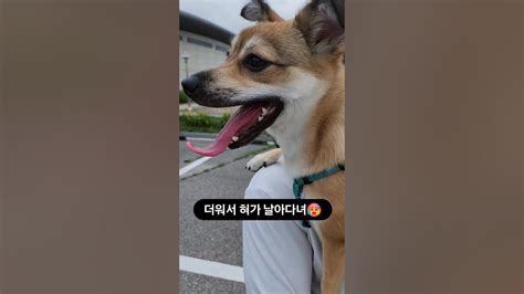 잔 말 말고 에어컨 파워냉방으로 틀어 Youtube