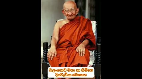 දියවැඩියාවට ගම්මාලු කිරි අතිපූජ්‍ය බලංගොඩ ආනන්ද මෛත්‍රෙය මහා නා හිමි Youtube