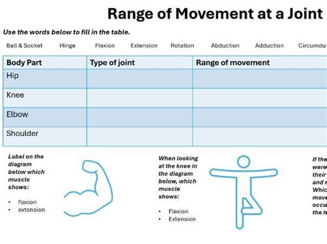 Types Of Movement At A Joint Teaching Resources