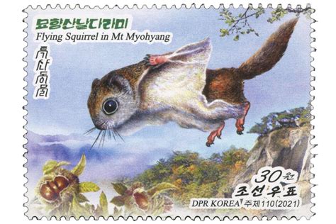 Как живёт обыкновенная летяга 7 интересных фактов о «полетухе Приключения натуралиста Дзен