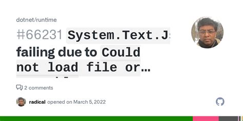 `system text json tests` failing due to `could not load file or assembly system runtime