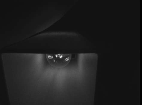 Go Camera Probe Fails Issue Linux Surface Linux Surface GitHub