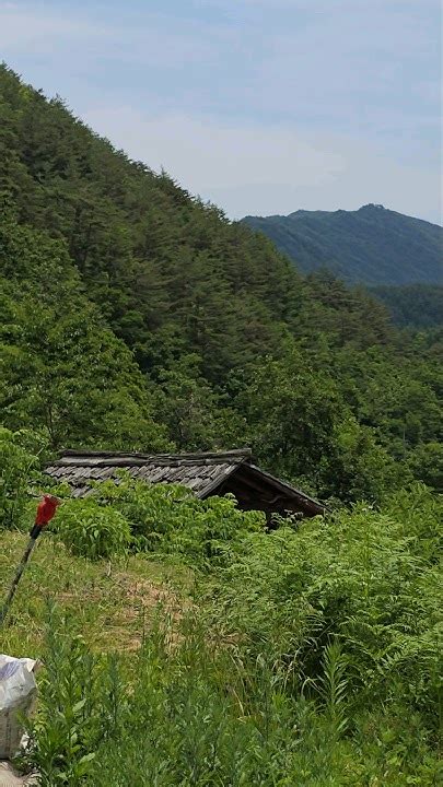 오지 탐방중 첩첩산속에 둘러쌓인 그림같은 집한채가 예술이네 Youtube