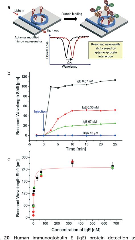 Figure 20 From Oligonucleotide Based Label Free Detection With Optical Microresonators