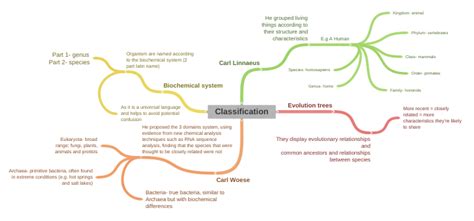 Classification Coggle Diagram Classification Coggle Diagram