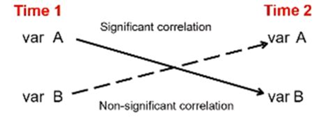 Lifespan Development Flashcards Quizlet