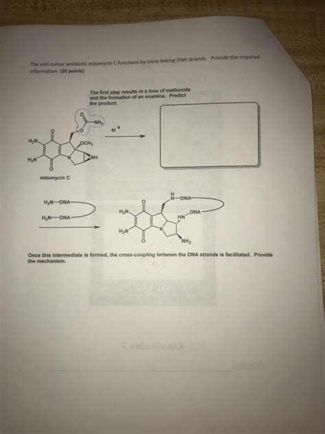 Solved The Anti Tumor Antibiotic Mitomycin C Functions By