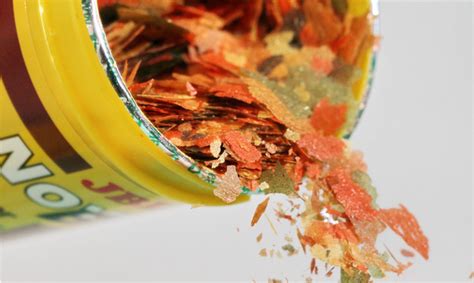 Feeding In The Community Aquarium Why Fish Have Sex More Often Than Humans