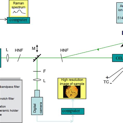Principal Layout Scheme Of The Raman Experimental Setup Download