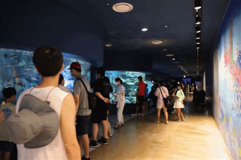 8월 제주 가볼만한곳 아이랑 아쿠아플라넷 네이버 블로그