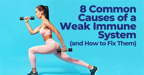 Weak Immune System 8 Common Causes And How To Fix Them
