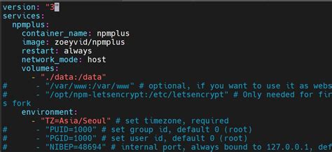 차세대 nginx proxy manager npm plus 설치하기