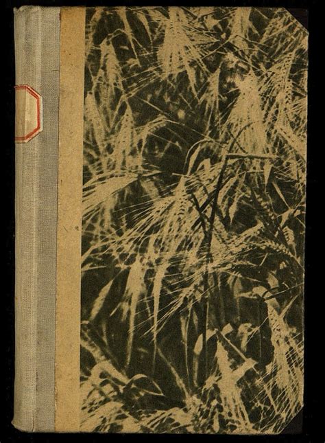 Практическая русская грамматика. Ч. 1. Начала грамматики ...