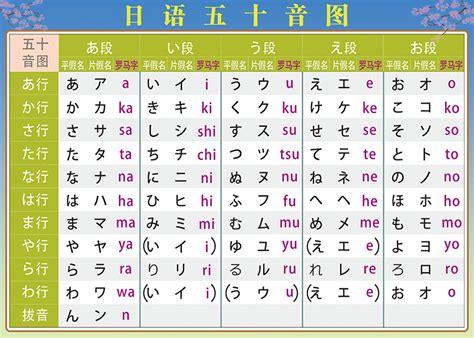 日語五十音圖發音單元平假名片假名筆劃筆順貼紙海報貼圖牆貼掛圖