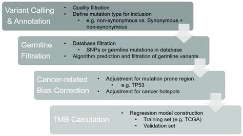 The Bioinformatics Algorithm Of Panel Based Tmb Calculation Download