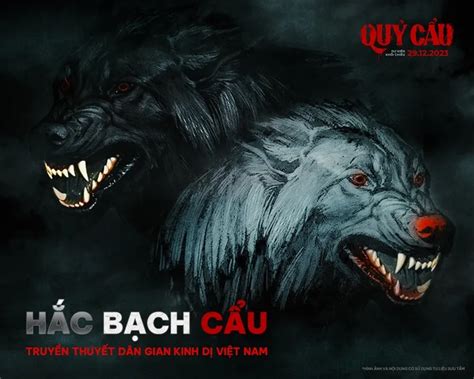 Review Phim Qu C U Khi Truy N Thuy T D N Gian L N M N Nh R Ng Tr N V N S U S C V M T M