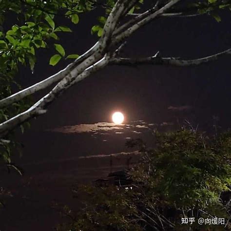 名人笔下的惊艳情话 知乎