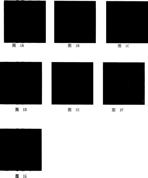 Mri Molecular Image Probe And Its Preparing Method Eureka Patsnap