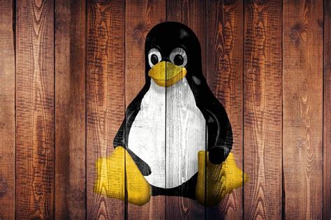 linux tail starting from specific line dariawan