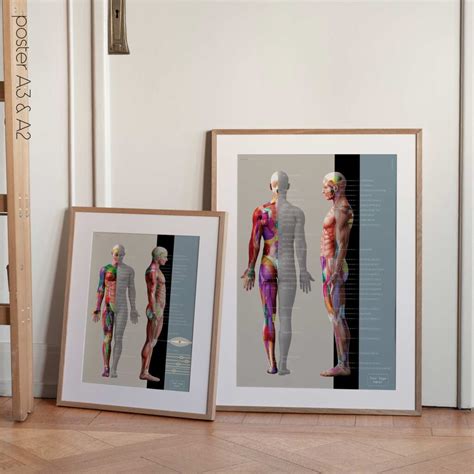 Myofascial Trigger Points Set Educaredesign